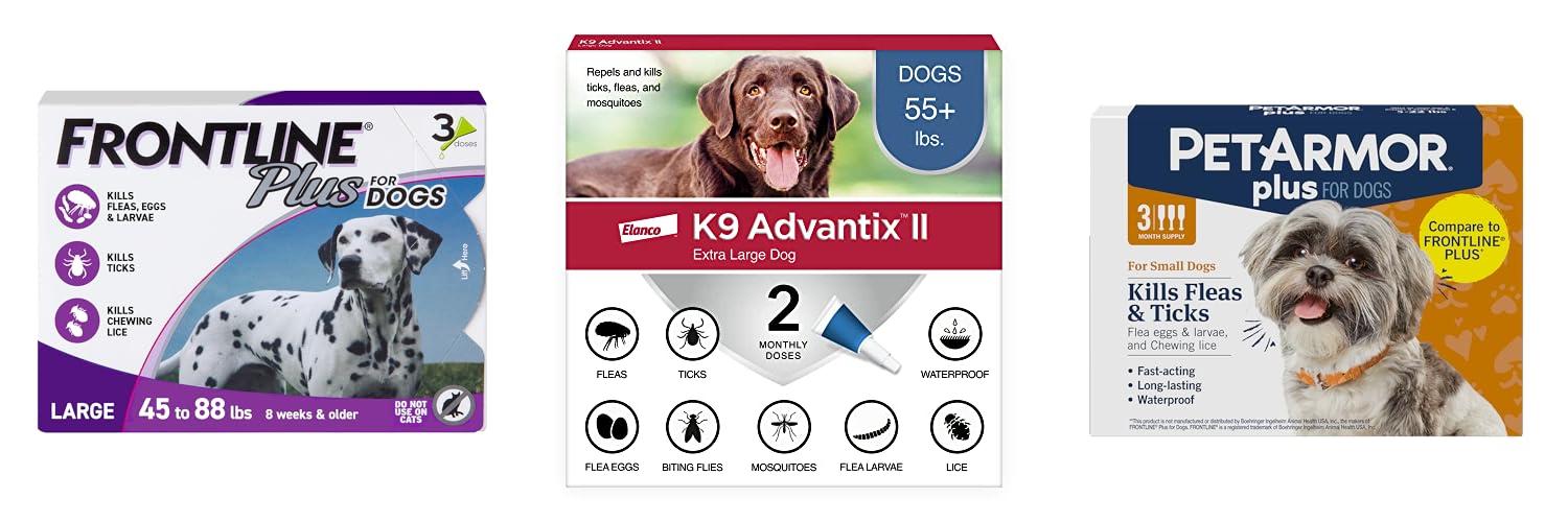 5 Best Dog Medicines for Ticks and Fleas: Protection Guide - AnimalsPick