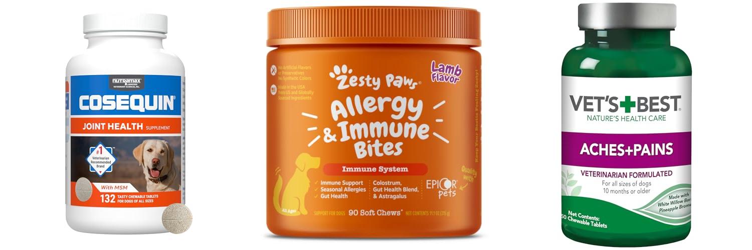 Top 5 Dog Meds: Reviews & Expert Guide to Your Pup's Health - AnimalsPick