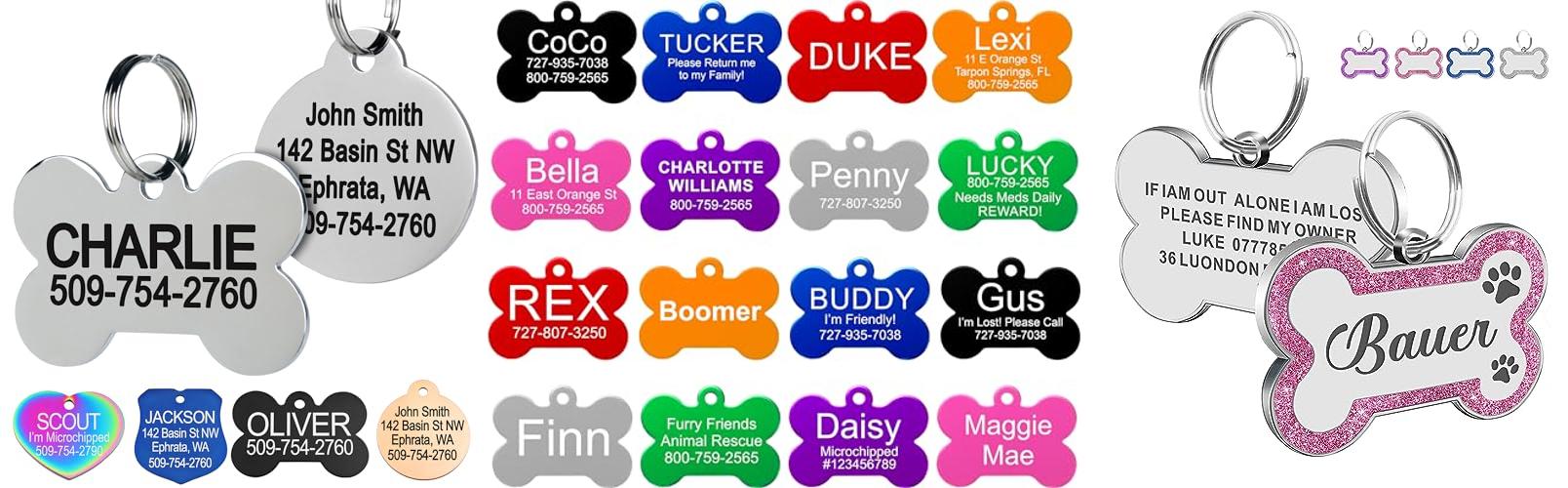 Top 5 Dog Name Tags: Reviews, Styles, and Buying Guide - AnimalsPick