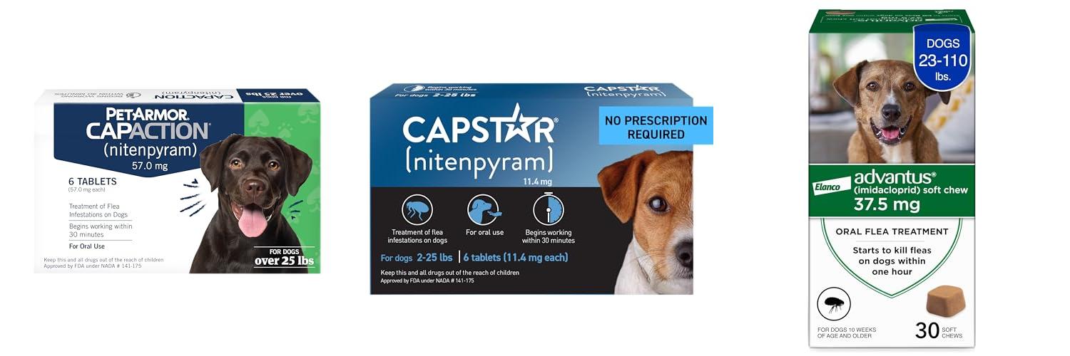 Top 5 Dog Flea Pills: Reviews & The Best Flea Pill Guide - AnimalsPick