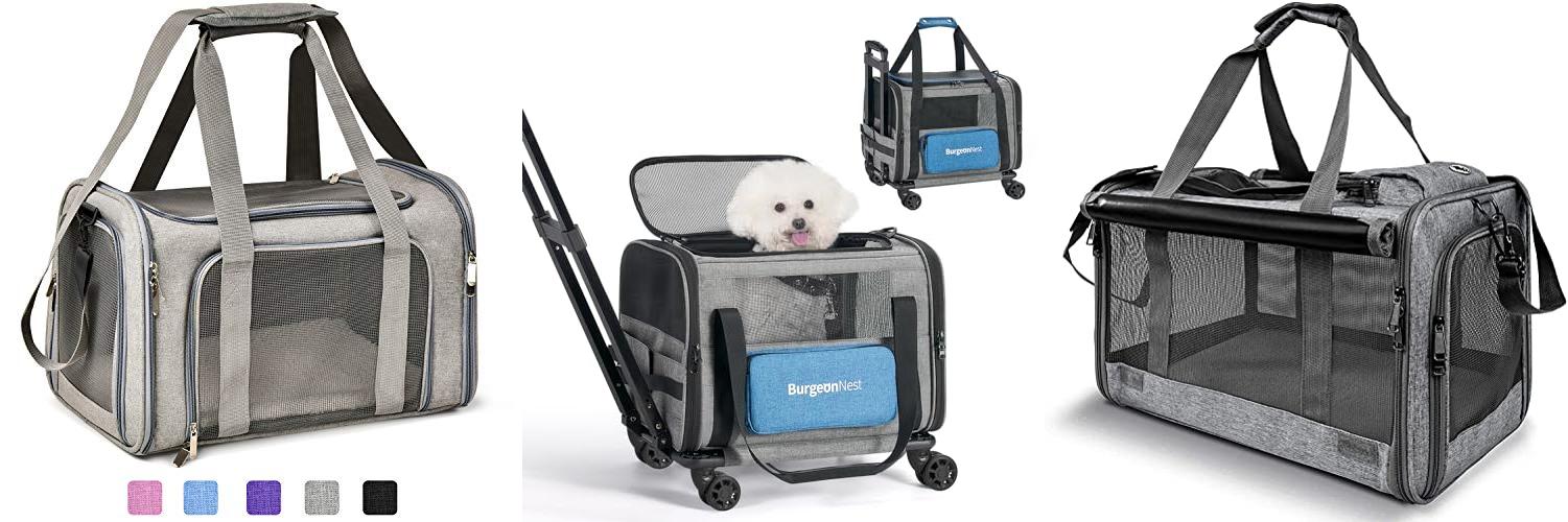 Top 5 Dog Plane Carriers: Expert Reviews and Buying Guide - AnimalsPick