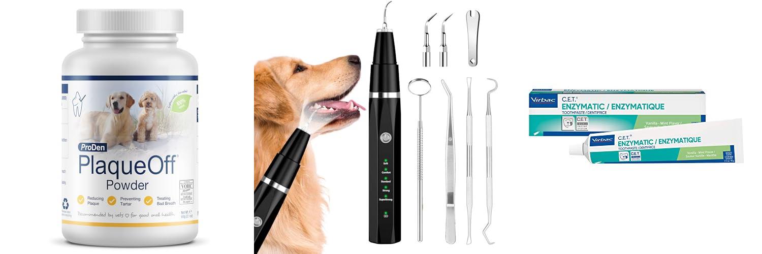 Top 5 Dog Plaque Removers: Reviews & Best Choices for Dogs - AnimalsPick