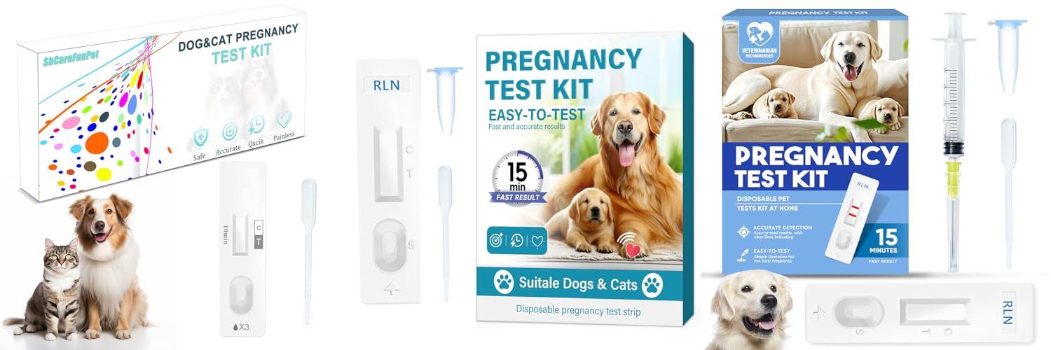 Top 5 Dog Pregnancy Tests: Reviews & Buyer's Guide for Owners - AnimalsPick