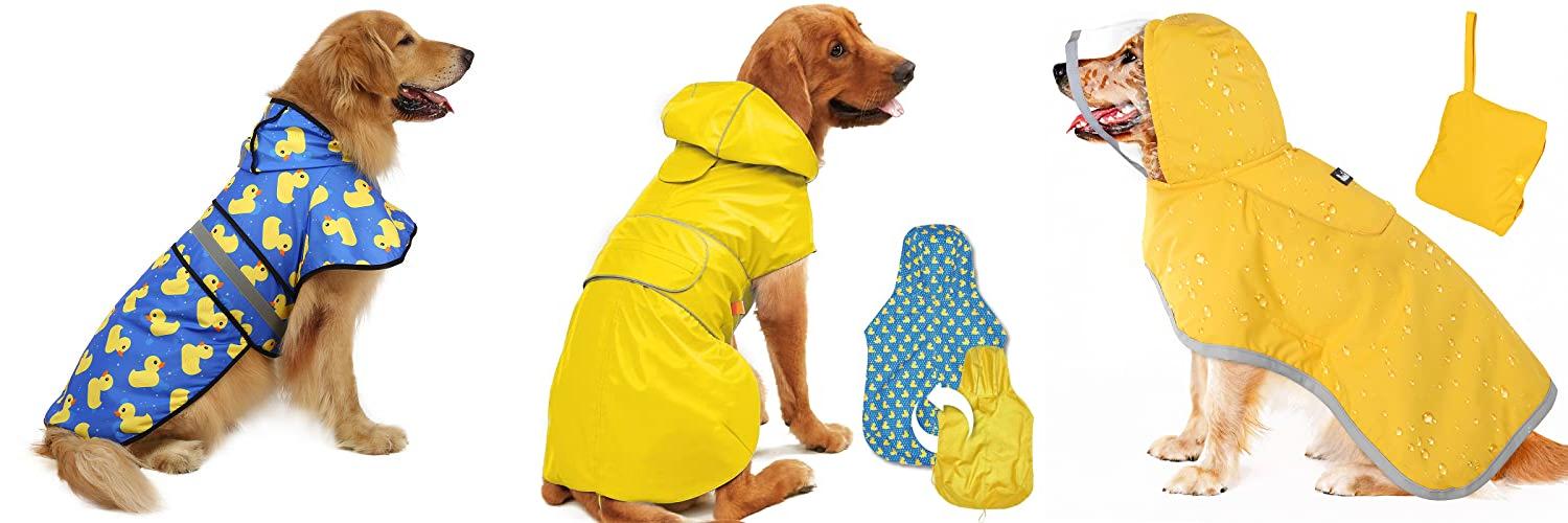 Top 5 Dog Rain Jackets: Waterproof Protection & Reviews - AnimalsPick