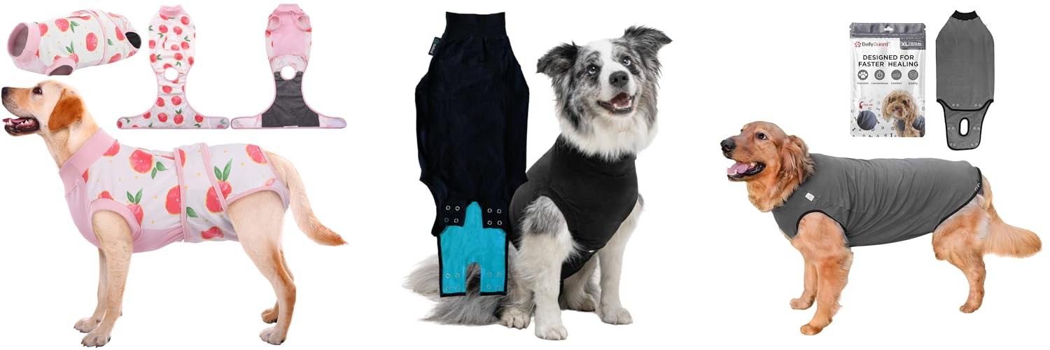 Top 5 Dog Recovery Suits: Reviews & Guide for Your Pup's Comfort ...