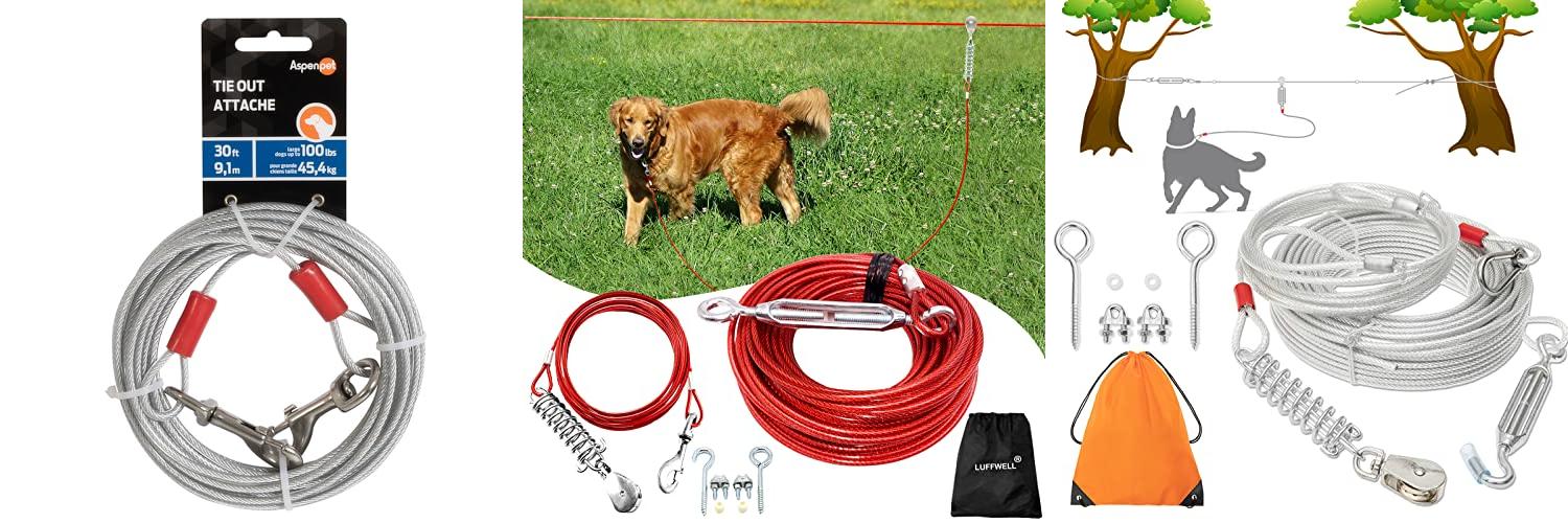 Top 5 Dog Runners: Reviews, Features, & Buying Guide for Pups - AnimalsPick