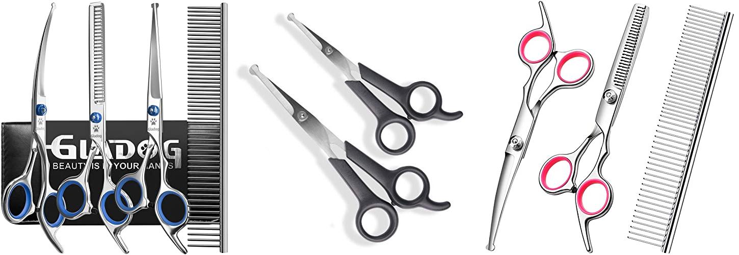 Top 5 Dog Scissors: Reviews & Buying Guide for Grooming - AnimalsPick