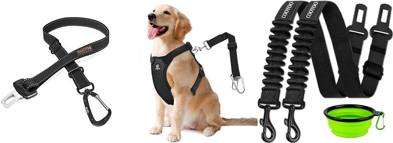 Top 5 Dog Seat Belts for Large Dogs: Safety & Comfort Reviewed ...