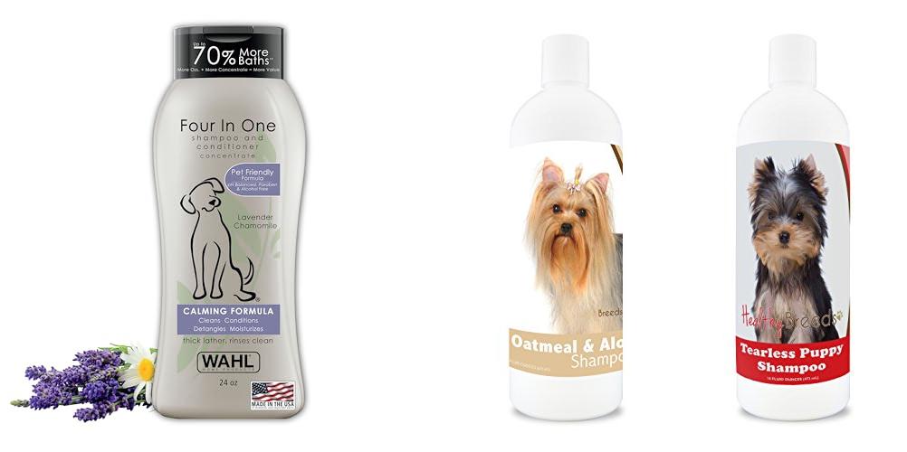 5 Best Dog Shampoo & Conditioner for Yorkies: Gentle & Effective ...
