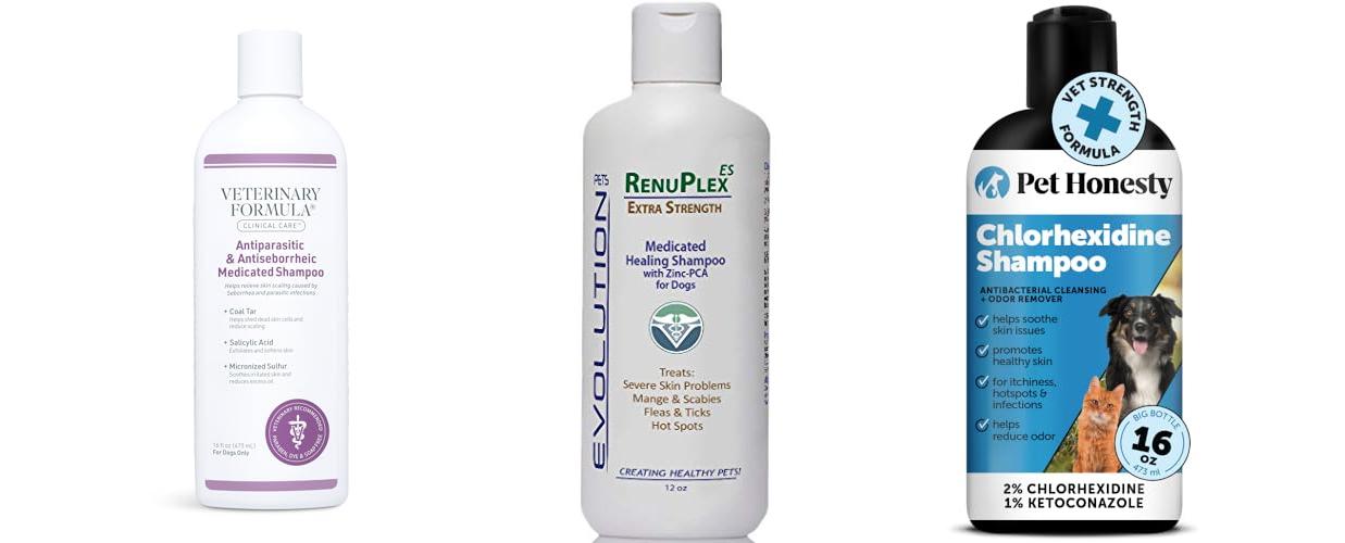 Top 5 Dog Shampoos for Mites: Reviews & Expert Purchase Advice ...