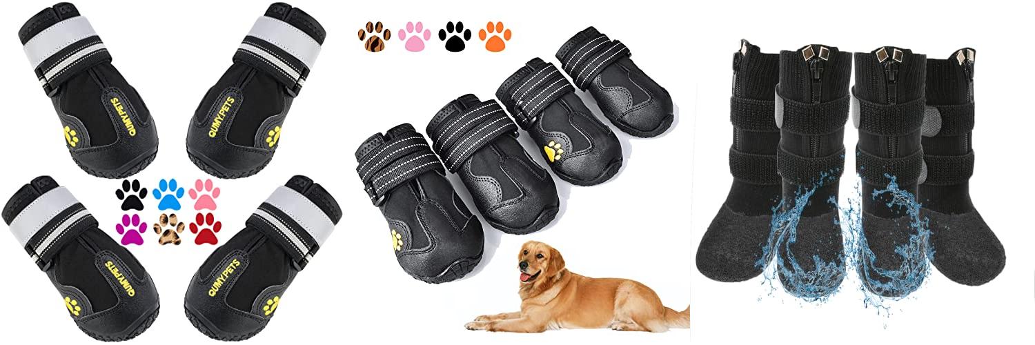Top 5 Dog Shoes for Snow: Keep Paws Warm & Protected - AnimalsPick