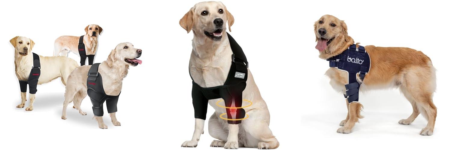 Top 5 Dog Shoulder Braces: Reviews & Guide for Your Pup - AnimalsPick