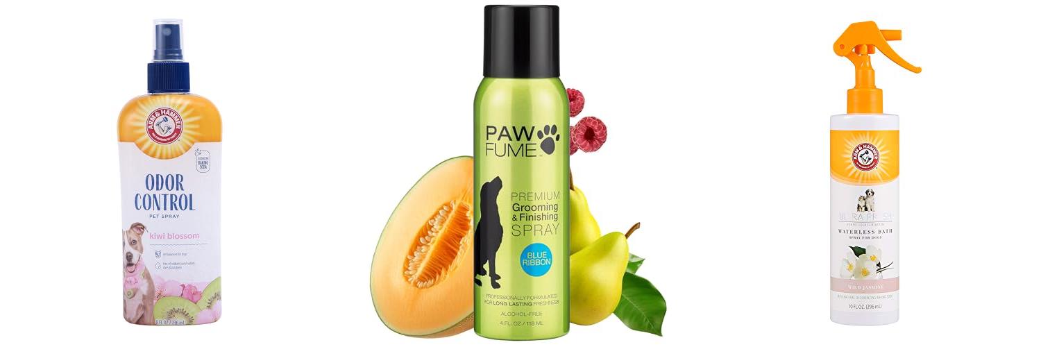 Top 5 Dog Spray For Smelly Dogs: Reviews & Buyer's Guide - AnimalsPick