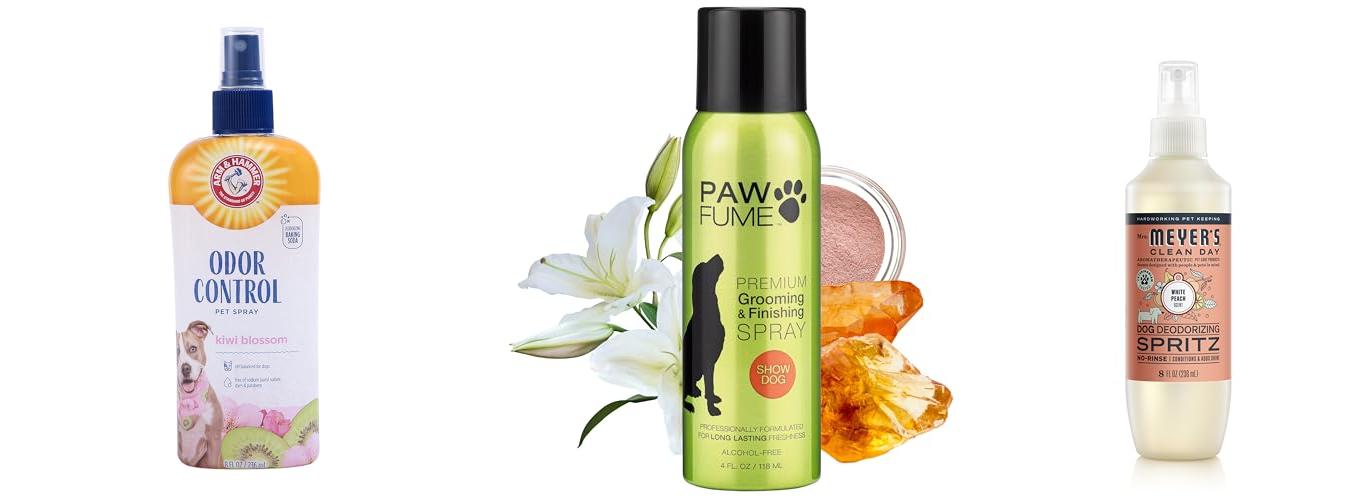 Top 5 Dog Spray Reviews: Best Choices for Odor & Training - AnimalsPick