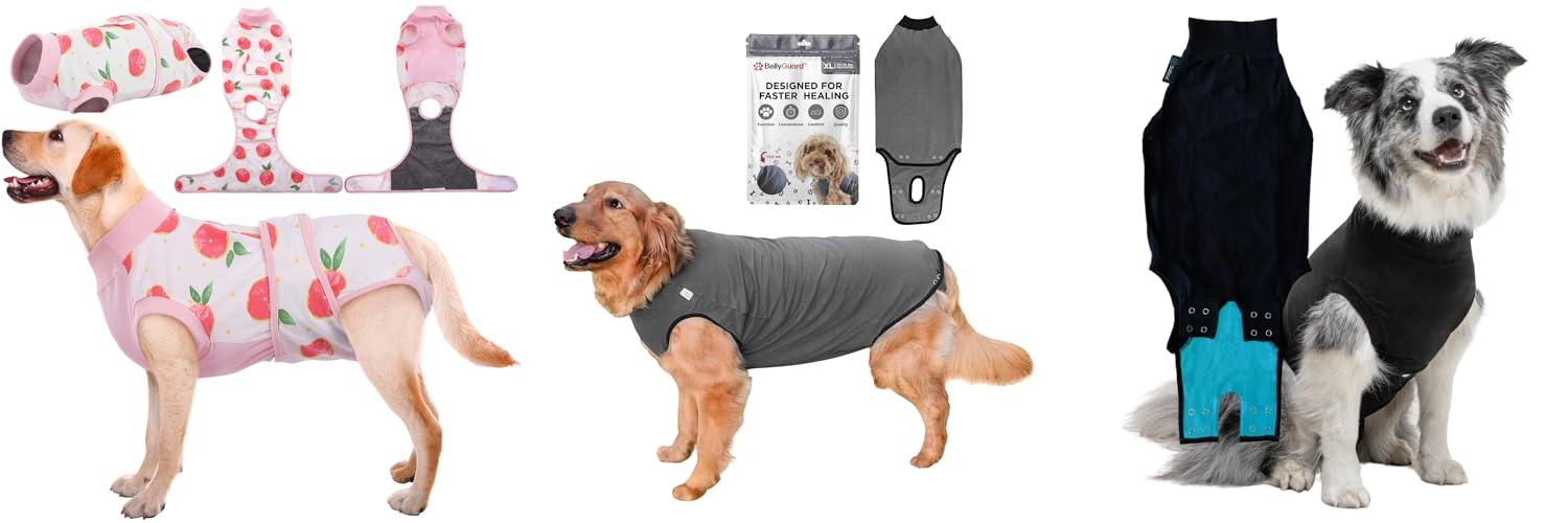 Top 5 Dog Surgery Recovery Suits: Your Ultimate Guide & Review ...