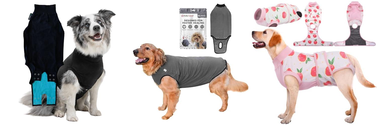 Top 5 Dog Surgical Recovery Suits: A Complete Buyer's Guide - AnimalsPick