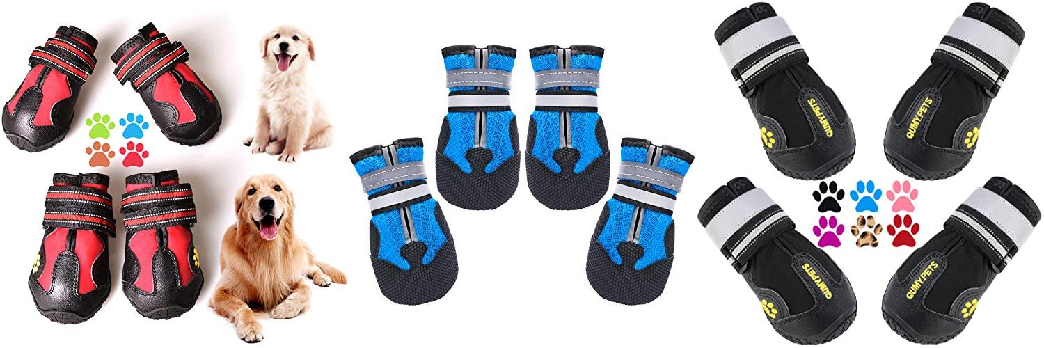 Top 5 Dog Swimming Shoes: Protect Paws & Improve Swim! - AnimalsPick