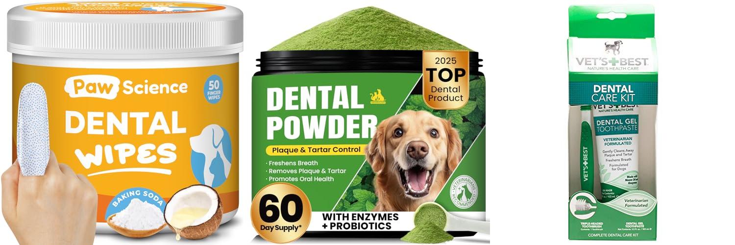 Top 5 Dog Teeth Cleaning Products: Reviews & Buyer's Guide - AnimalsPick
