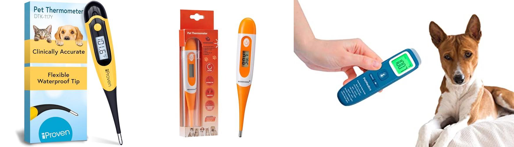 Top 5 Dog Thermometers: A Comprehensive Review & Buying Guide - AnimalsPick
