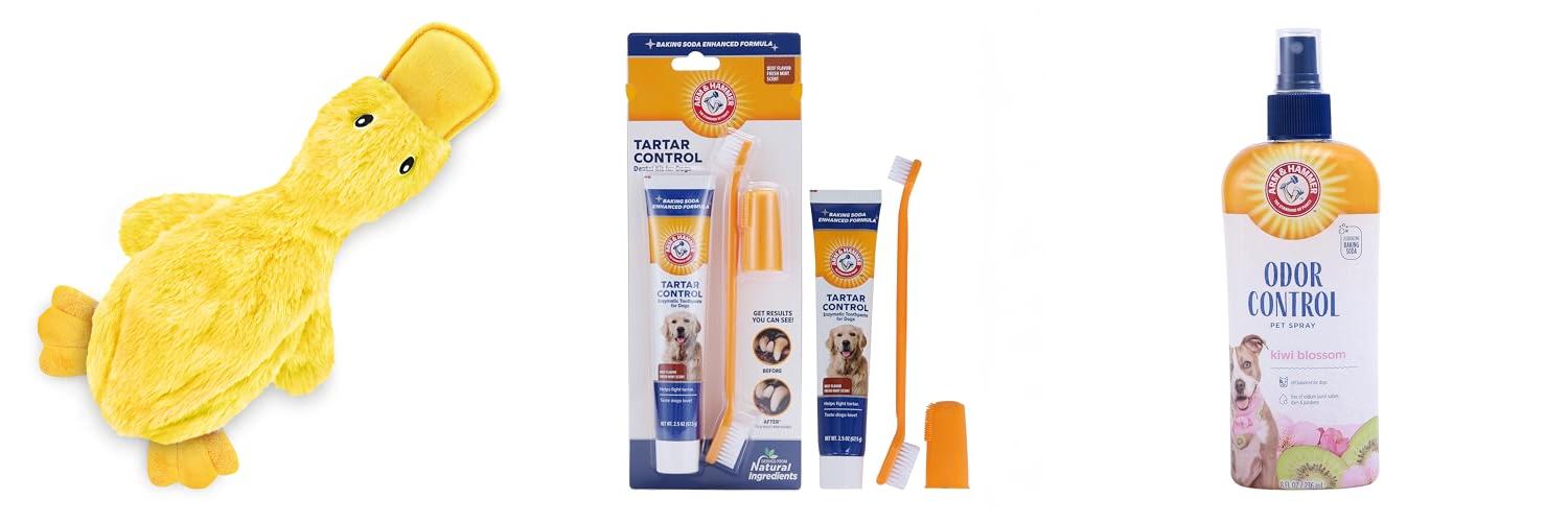 Top 5 Dog Things: Reviews & Buyer's Guide for Happy Pups! - AnimalsPick