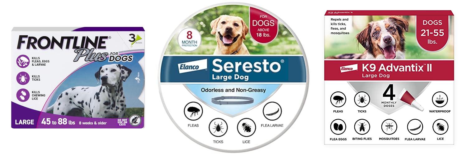 Top 5 Dog Tick Prevention Products: A Vet's Honest Review! - AnimalsPick