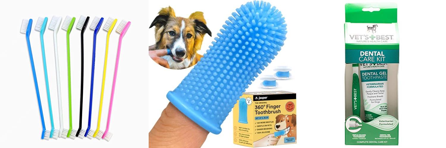 Top 5 Dog Toothbrushes: Reviews & Guide for Healthy Smiles - AnimalsPick