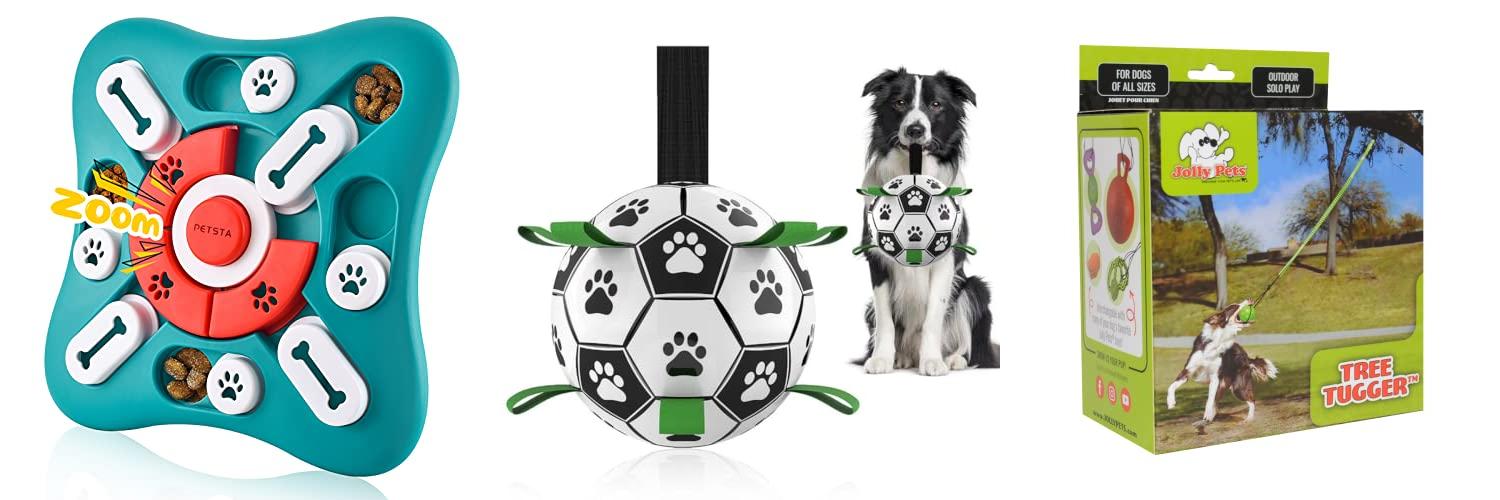 Top 5 Dog Toys for Border Collies: Playtime & Durability Guide ...