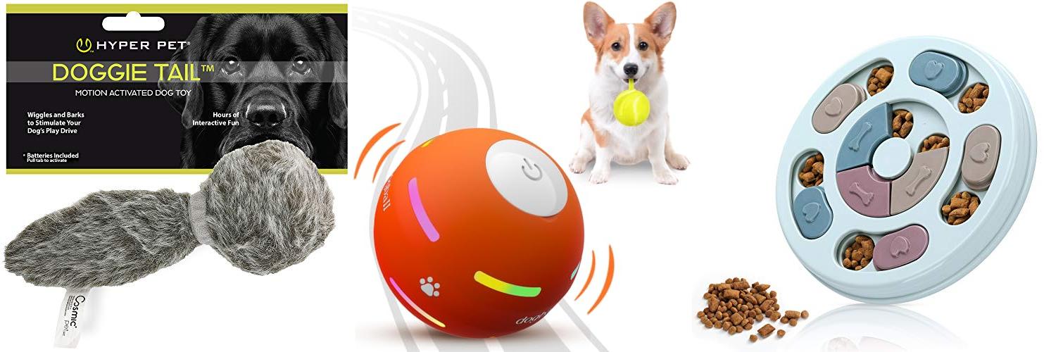Top 5 Best Dog Toys for Hyper Dogs: Reviews and Buyer's Guide - AnimalsPick