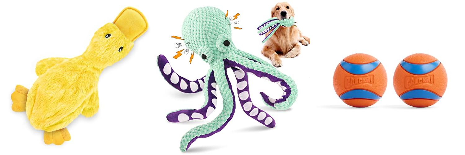 Top 5 Dog Toys: Reviews and Buyer's Guide for Joyful Dogs! - AnimalsPick
