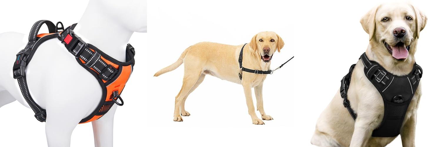 Top 5 Dog Training Harnesses: Reviews & Buying Guide for Your Pup ...