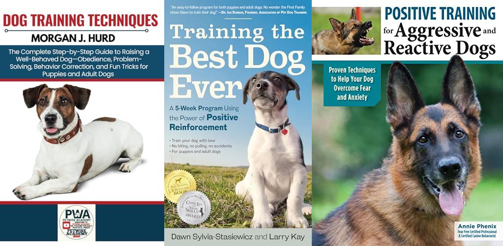 Top 5 Dog Training Techniques: A Complete Guide for Happy Pups ...