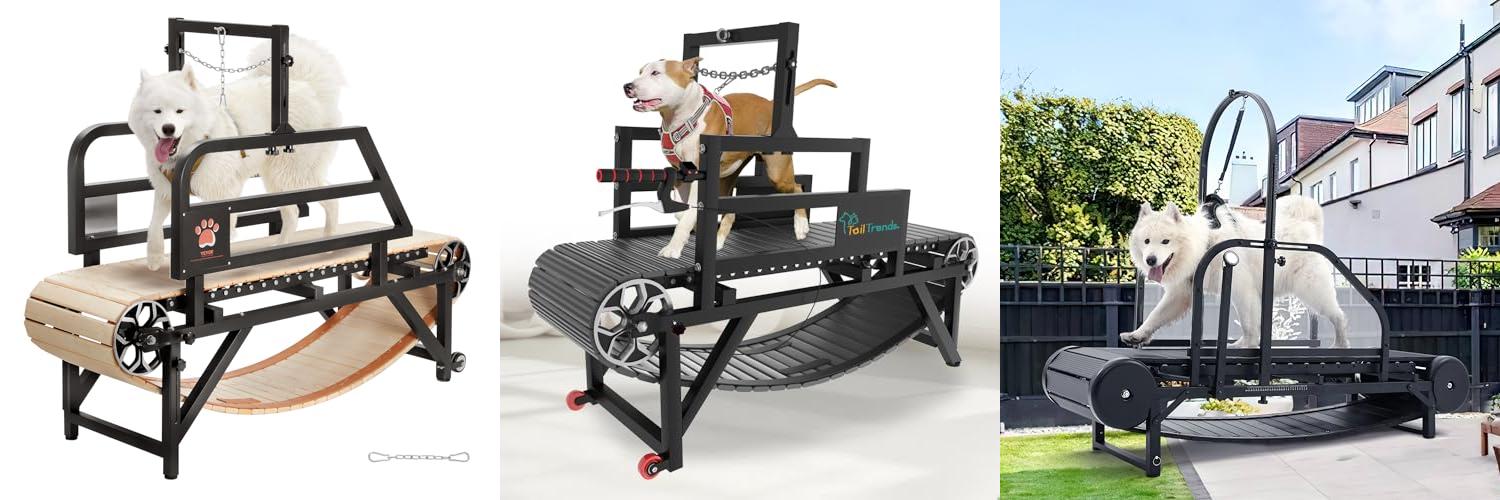 Top 5 Dog Treadmills: Reviews & Buying Guide for Your Pup - AnimalsPick