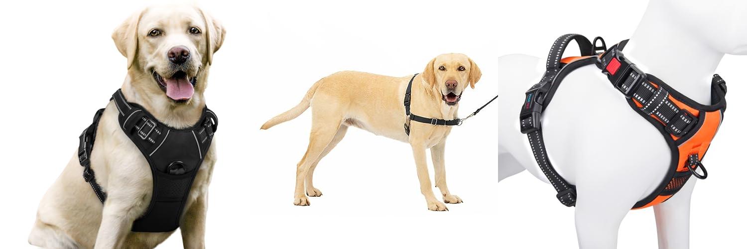 Top 5 Dog Walk Harnesses: Reviews & Buying Guide for Dogs - AnimalsPick