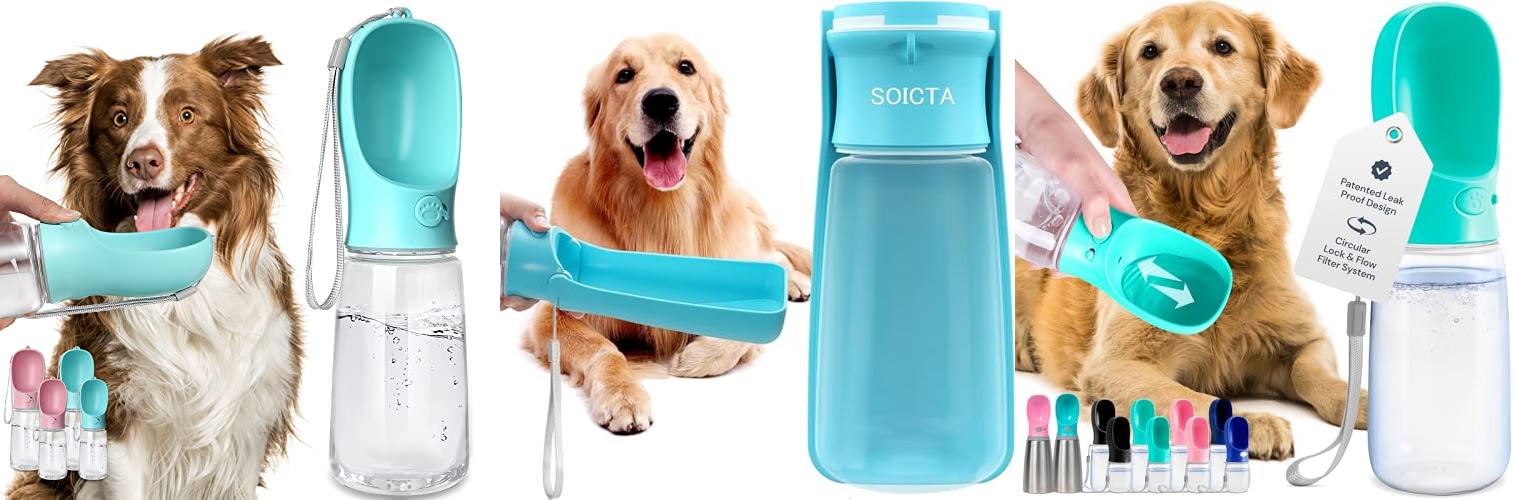 5 Best Dog Water Bottles: Keep Your Dog Hydrated On The Go - AnimalsPick