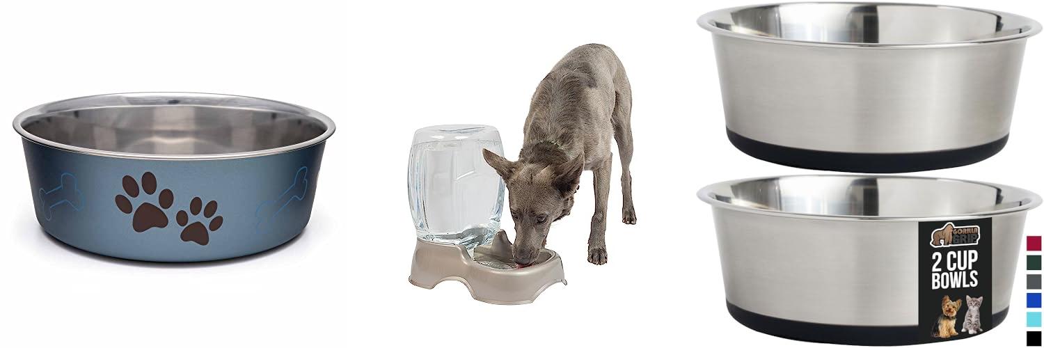 Top 5 Dog Water Bowls: Reviews & Buyer's Guide for Hydration - AnimalsPick