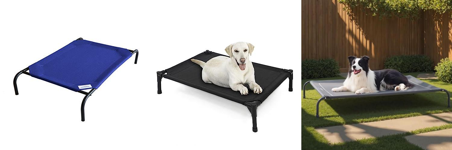 Top 5 Elevated Dog Beds for Large Dogs: Reviews & Buyer's Guide ...