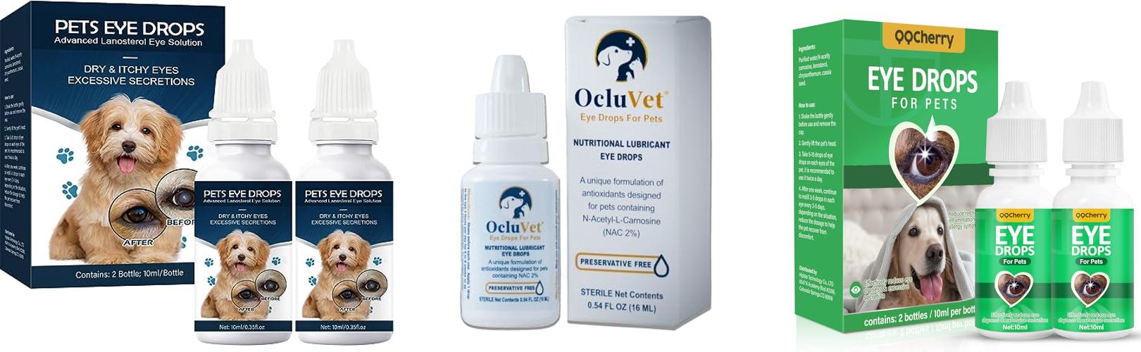Top 5 Eye Drops for Dog Cataracts: Reviews & Buyer's Guide - AnimalsPick