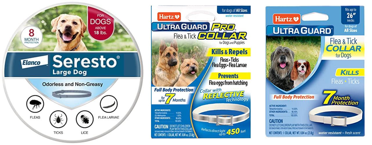 Top 5 Flea Collar Dogs: Reviews & Buying Guide for Your Pup - AnimalsPick