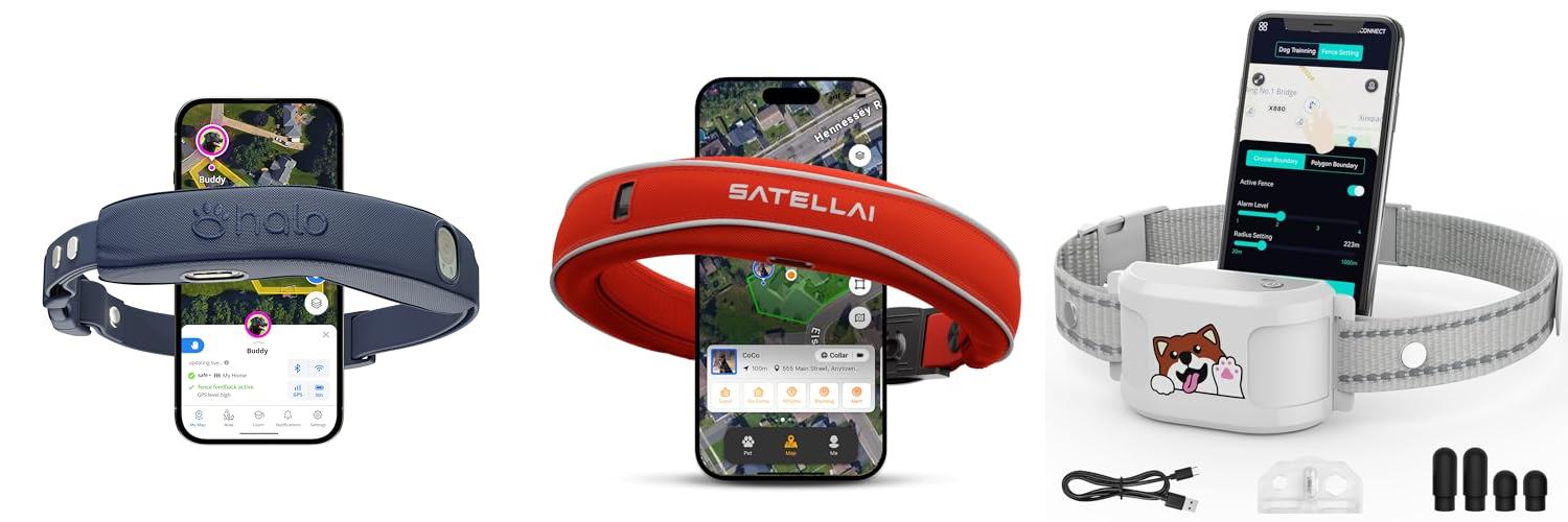 Top 5 GPS Dog Collars: Reviews & Buying Guide for Pet Owners - AnimalsPick