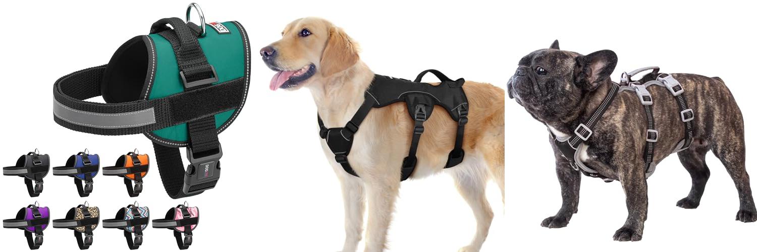 Top 5 Harnesses For Three Legged Dogs: Reviews & Buyer's Guide ...