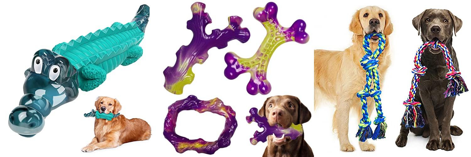 Indestructible Dog Toy Guide: Find the Top 5 Long-Lasting Options ...