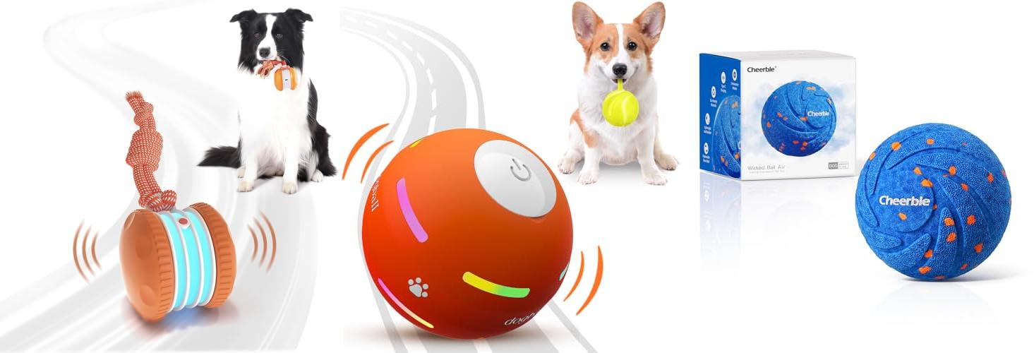 Top 5 Interactive Dog Balls: Reviews & Buying Guide for Playtime ...