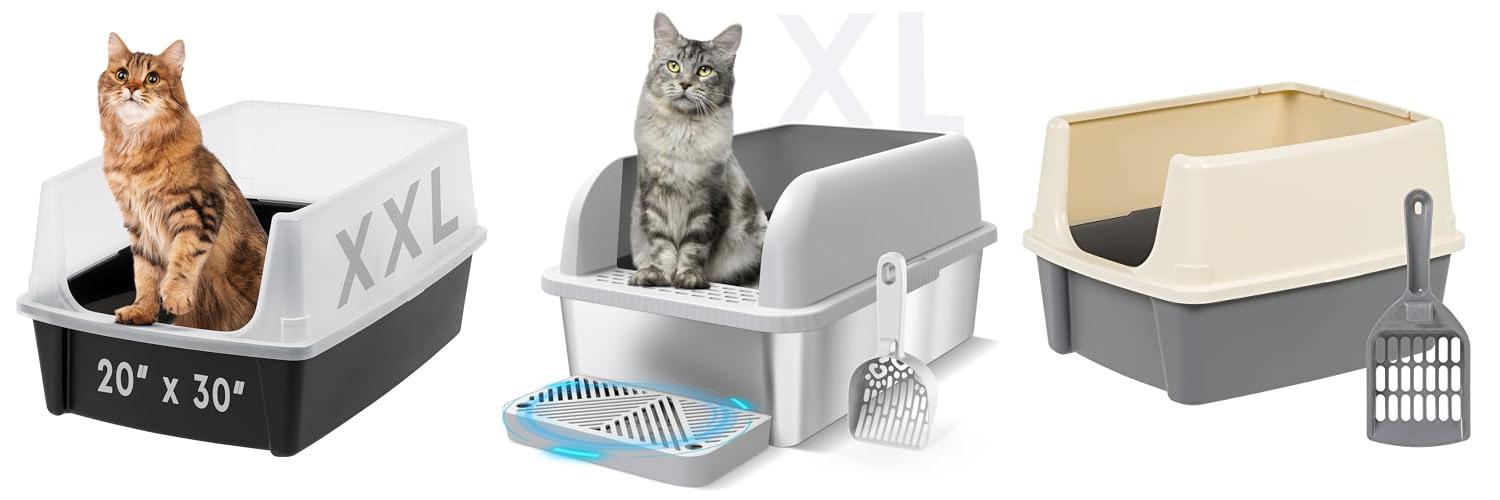 Top 5 Extra-Large Cat Litter Boxes: Reviews & Size Guide - AnimalsPick