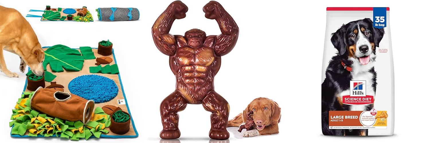 Top 5 Large Dog Breeds: A Complete Guide for New Owners - AnimalsPick