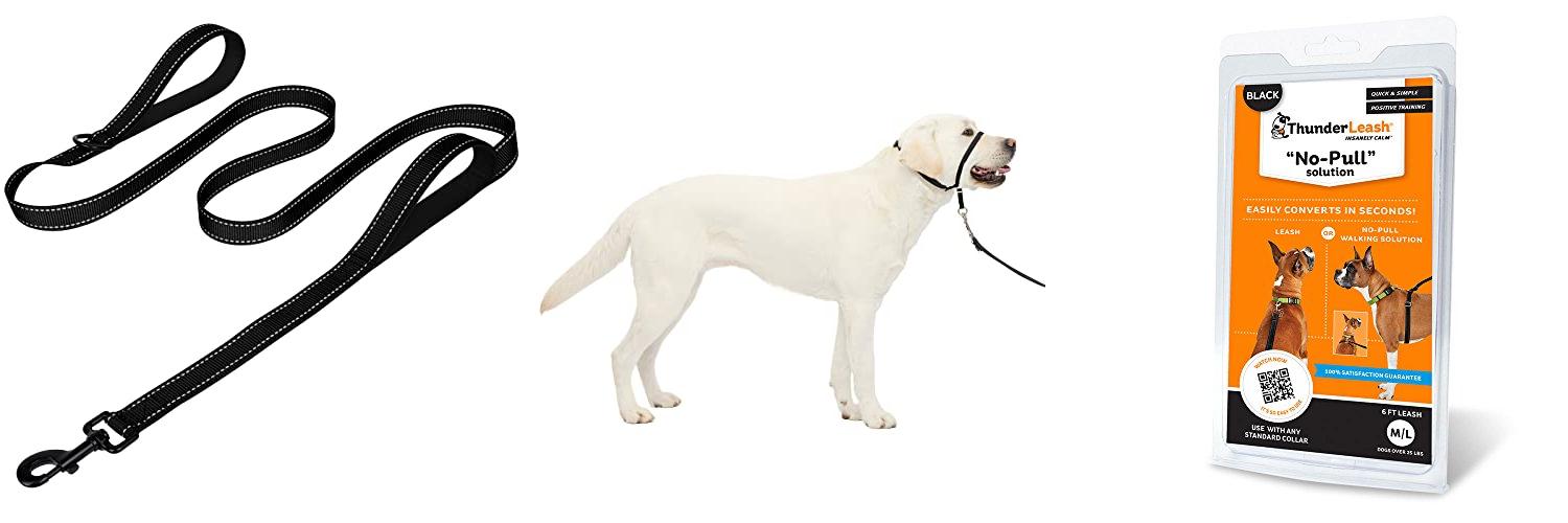 Top 5 Leashes for Dogs That Pull: Reviews & Buyer's Guide - AnimalsPick
