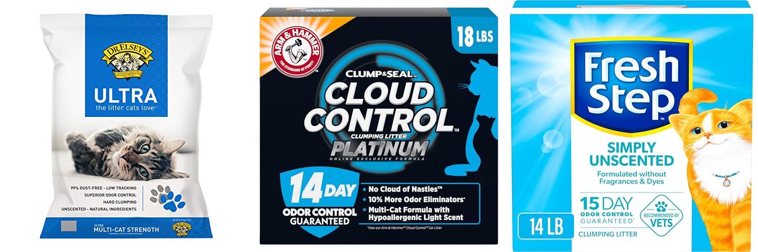 Best Cat Litter For Cats With Allergies