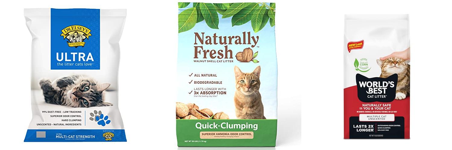 Top 5 Non-Toxic Cat Litters: Reviews & Your Buying Guide - AnimalsPick