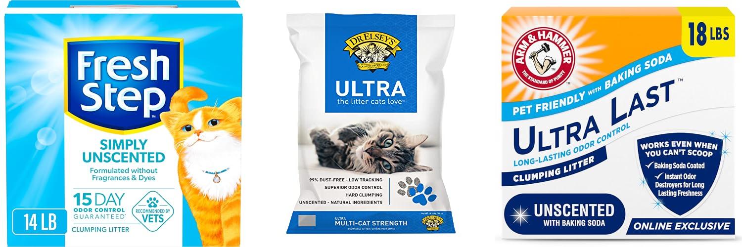 5 Best Odor Free Cat Litter Brands: A Comprehensive Review - AnimalsPick