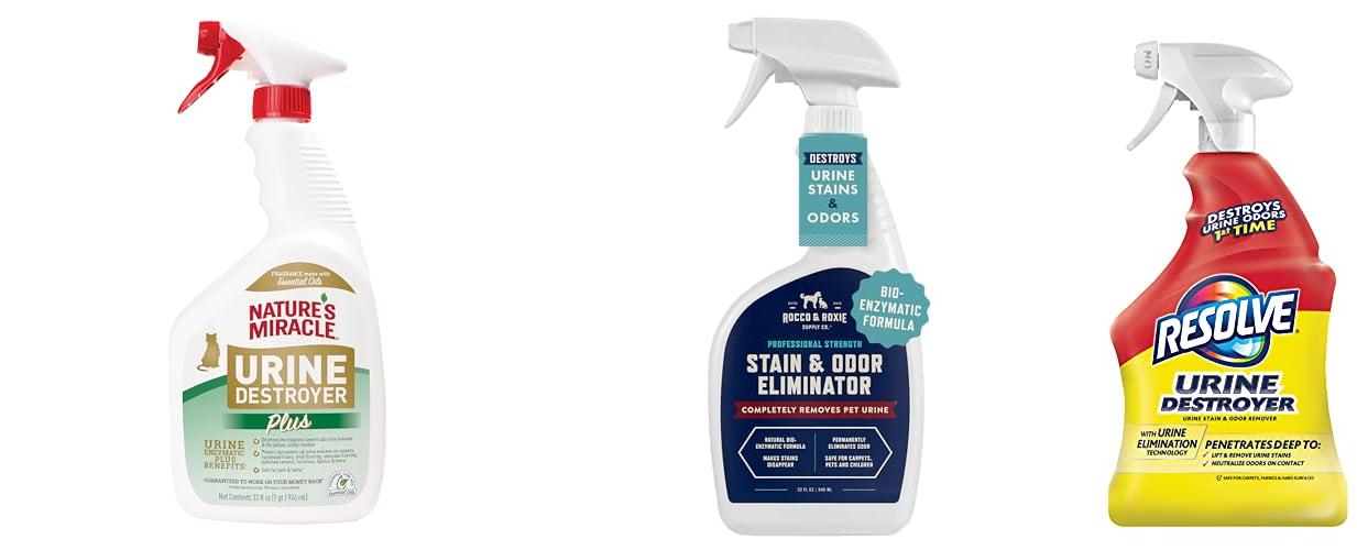 Top 5 Best Odor Removers For Cat Urine: A Buyer's Guide - AnimalsPick