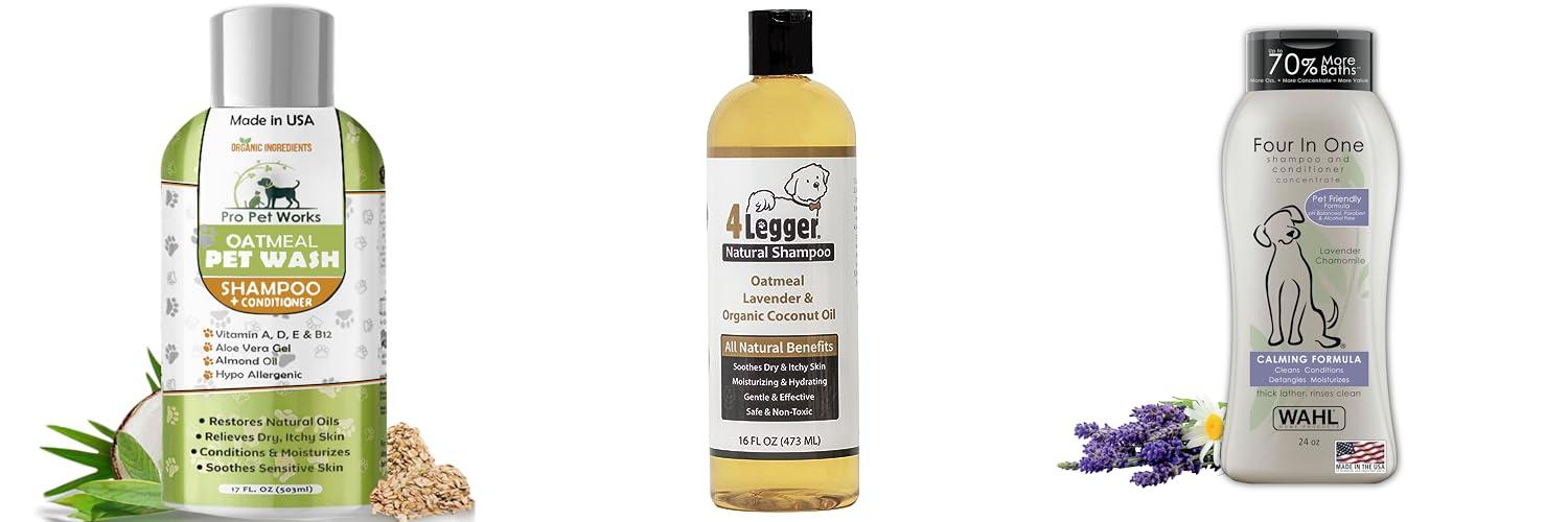 Top 5 Organic Dog Shampoos: Reviews & What You Need to Know - AnimalsPick